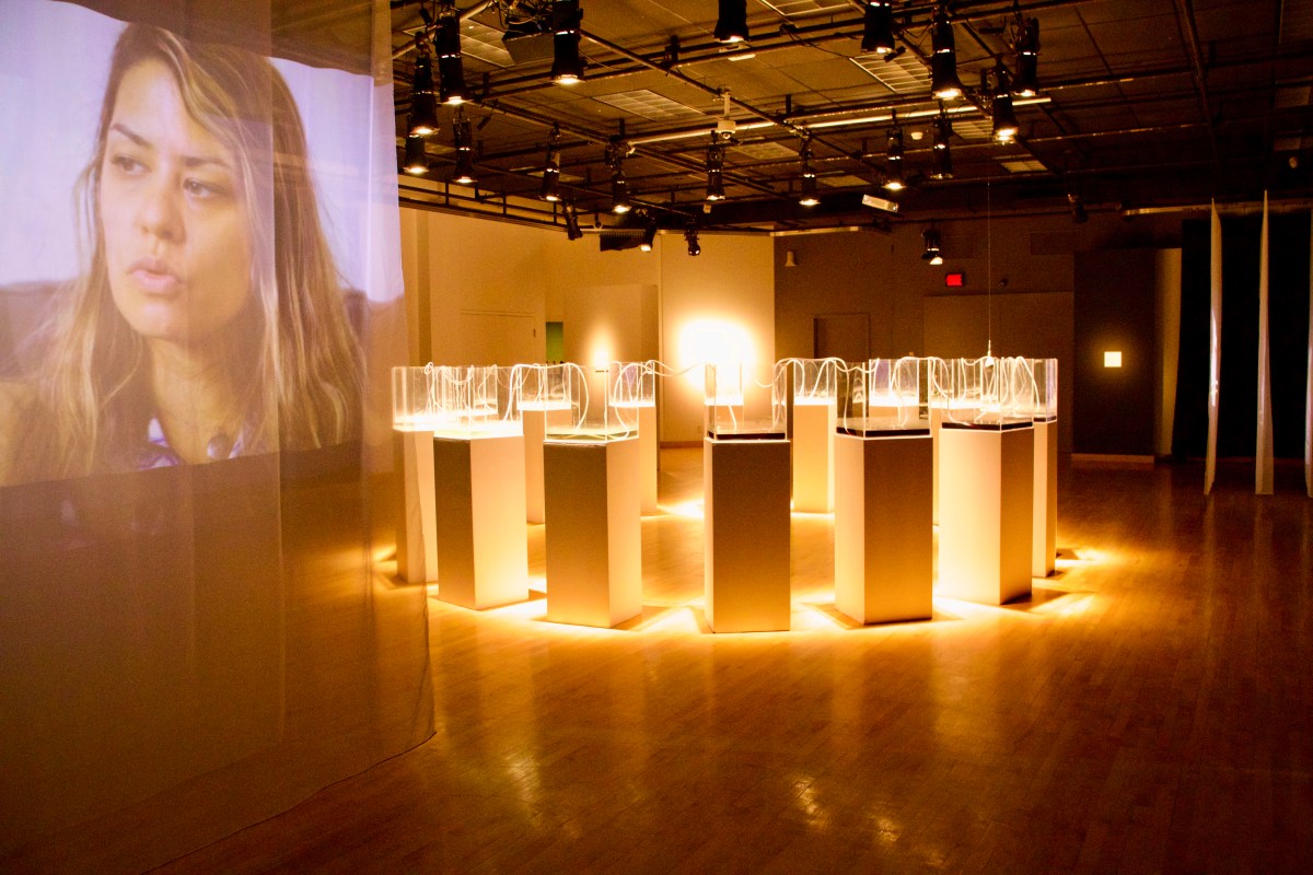 Birds Crossing Borders by Artist Khadija Baker | Solidarity Through ...